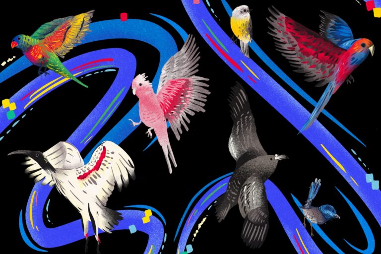 When birds became cool - Australian Geographic