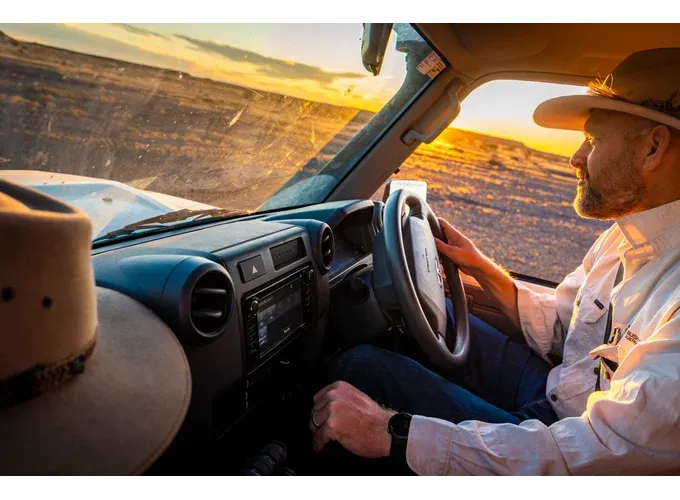 The enigma of the night parrot - Australian Geographic