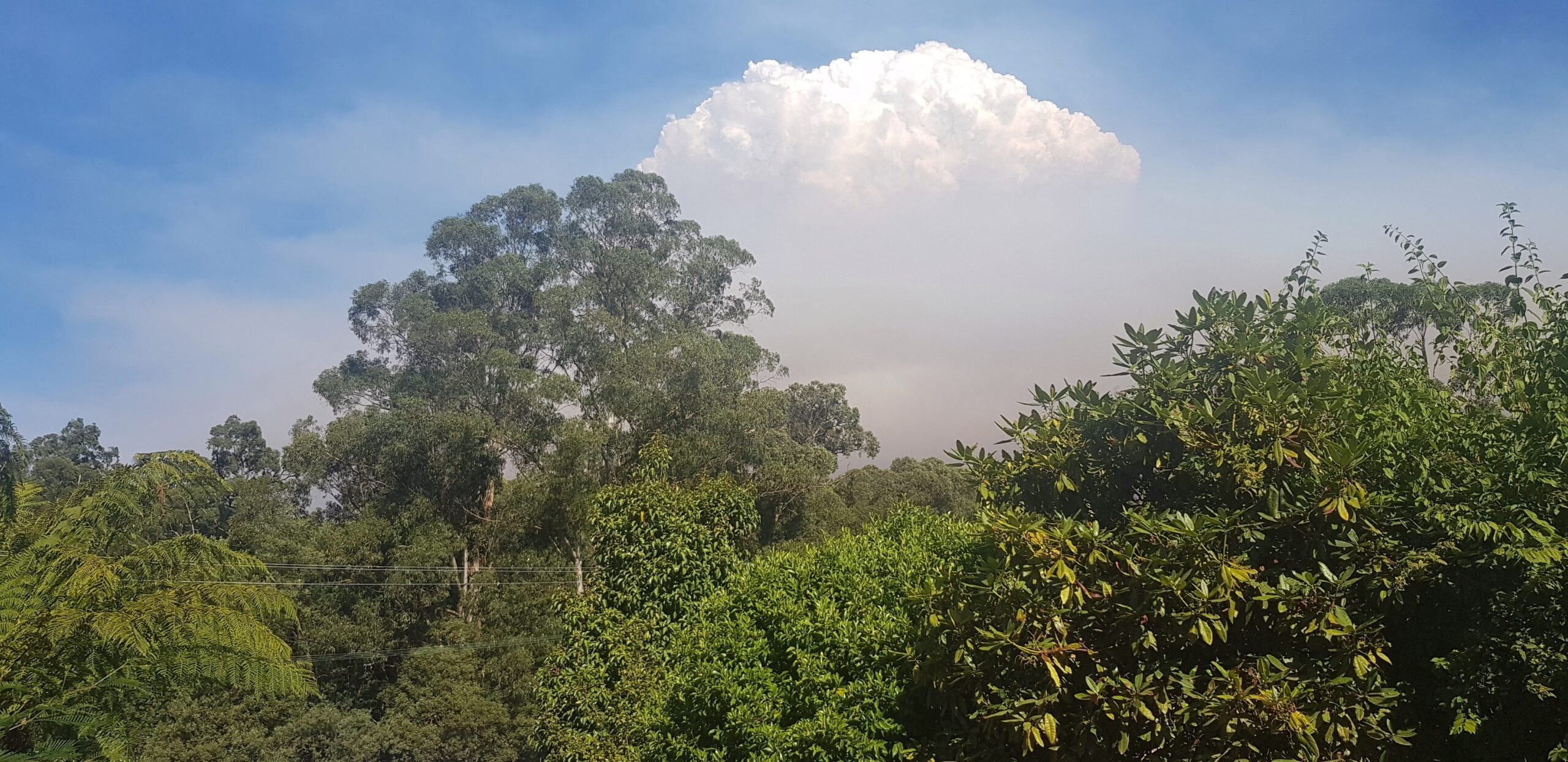 When bushfires make their own weather - Australian Geographic